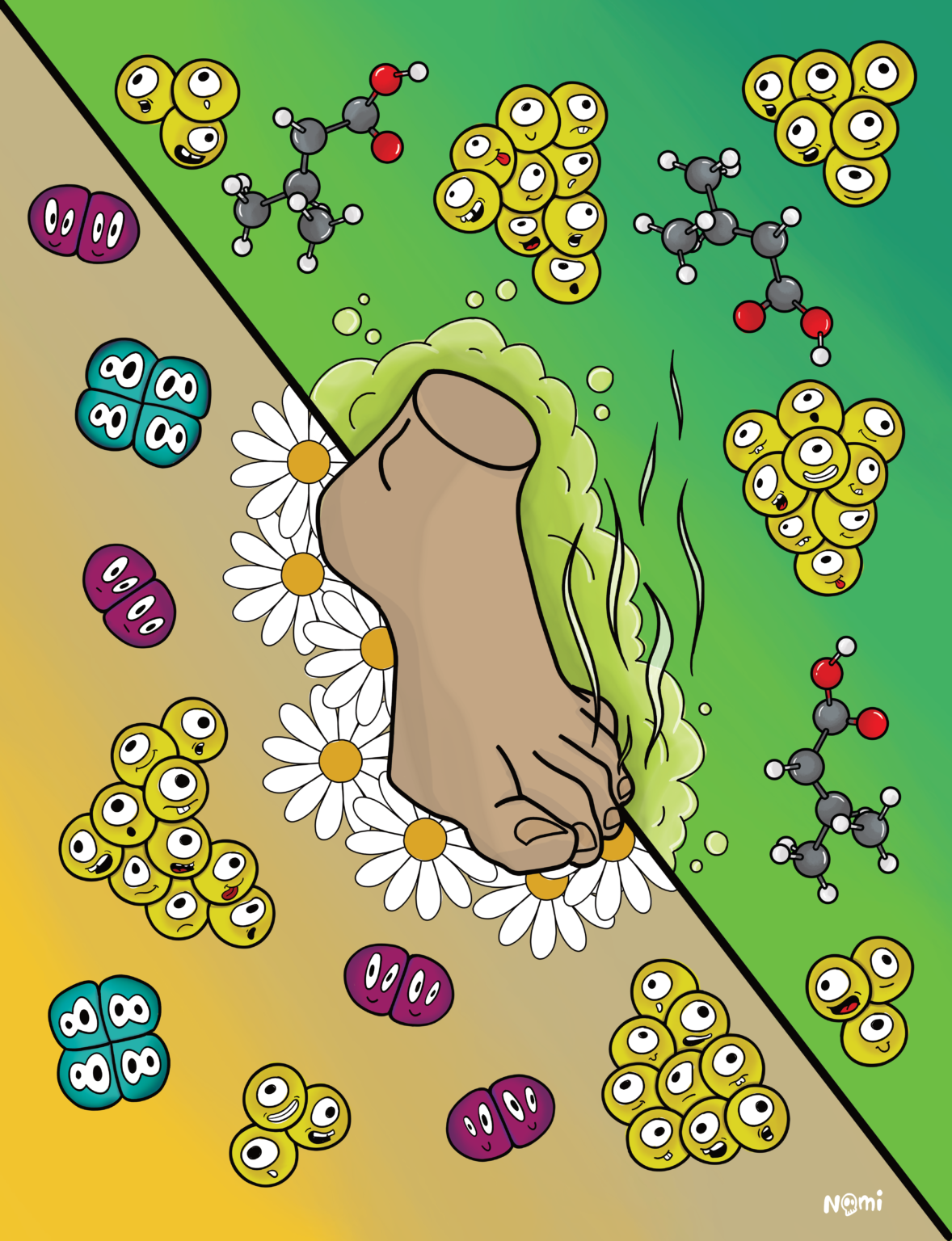 How bacteria create the smells in our world - Bacterialworld